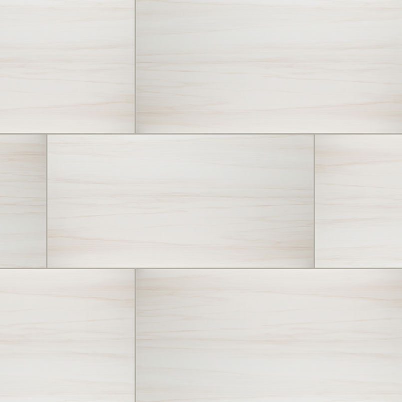 Eden Porcelain Field Tile 24X48 Dolomite Polished - Elit Tile