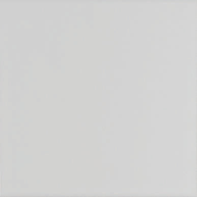 Duo Solo Matte 6X6 White - Elit Tile - Elit Tile